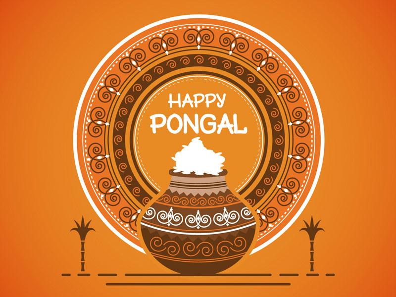Don’t know about Pongal Festival? Here is an Easy-Peasy Guide - Online ...